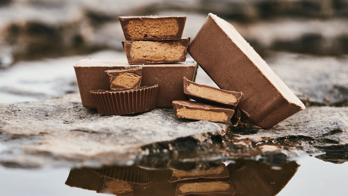 Keto Bricks by Keto Savage | High Calorie Meal Bars | Survival Food ...